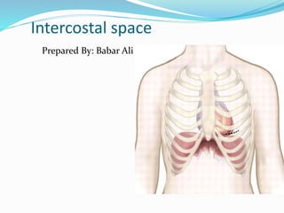 Intercostal Space