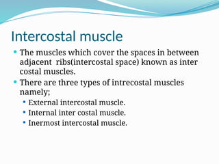 Intercostal space BPT II sem.pptx....... | PPTX