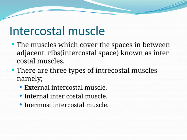 Intercostal space BPT II sem.pptx....... | PPT