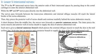 anatomical study of the intercostal spaces.pptx