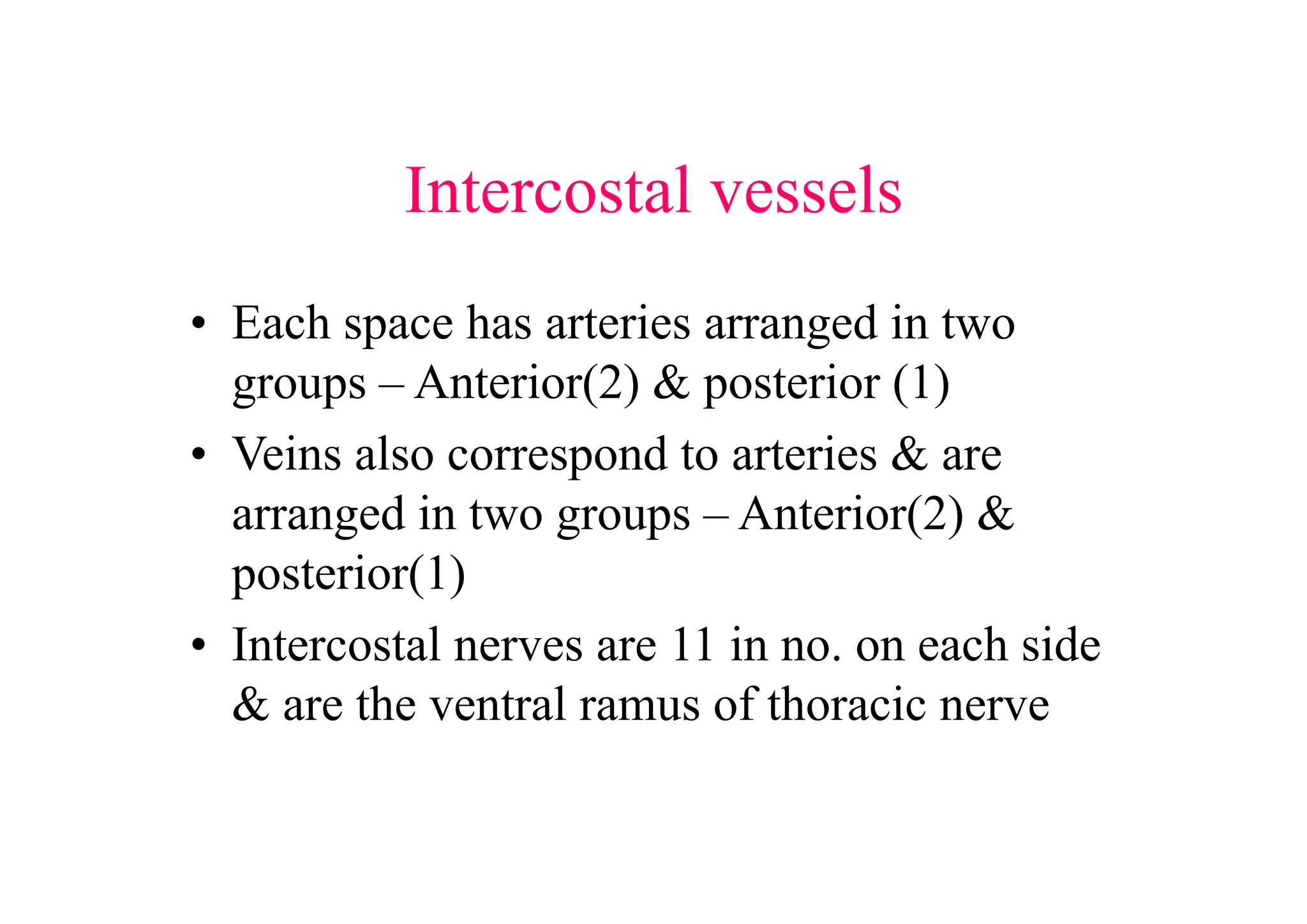 Intercostal Spaces - Avinash.pdf