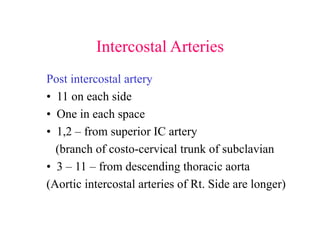 Intercostal Spaces - Avinash.pdf