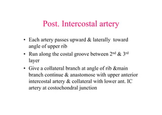 Intercostal Spaces - Avinash.pdf