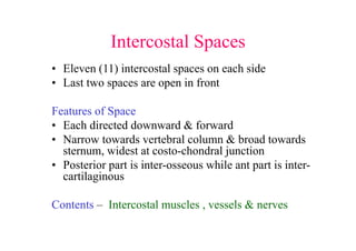 Intercostal Spaces - Avinash.pdf