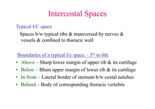 Intercostal Spaces - Avinash.pdf