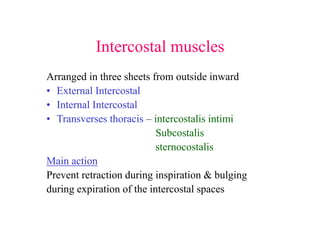 Intercostal Spaces - Avinash.pdf