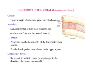 Intercostal Spaces - Avinash.pdf