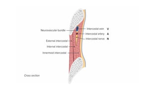 Intercostal Tube Drainage - history ,indications | PPTX