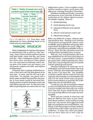 Intercropping Principles and Production Practices | PDF