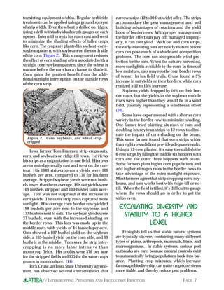 Intercropping Principles and Production Practices | PDF