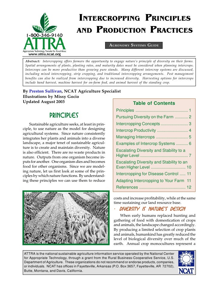 Intercropping Vegetables Chart