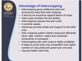Advantages of Intercropping by Centurion University.ppt | Agriculture ...