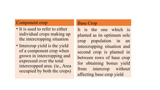 intercropping advantages types and disadvantges.pptx