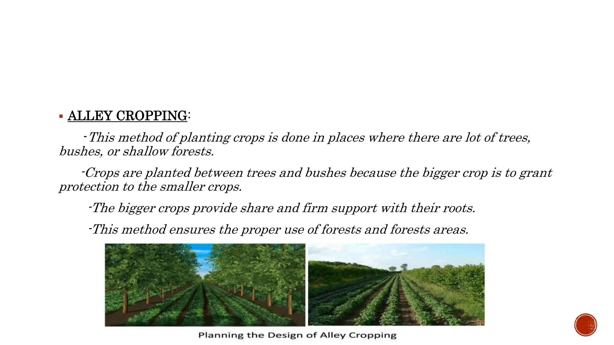 INTERCROPPING .pptx