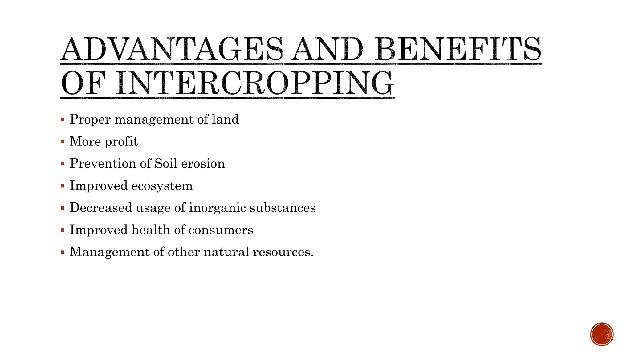INTERCROPPING .pptx