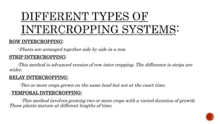 INTERCROPPING .pptx