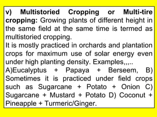Intercropping mixed cropping_principles_and_assessment_of_yield | PPT