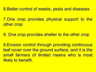 Intercropping mixed cropping_principles_and_assessment_of_yield | PPT