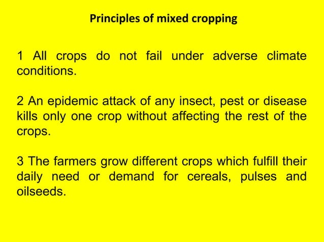 Intercropping mixed cropping_principles_and_assessment_of_yield | PPT ...