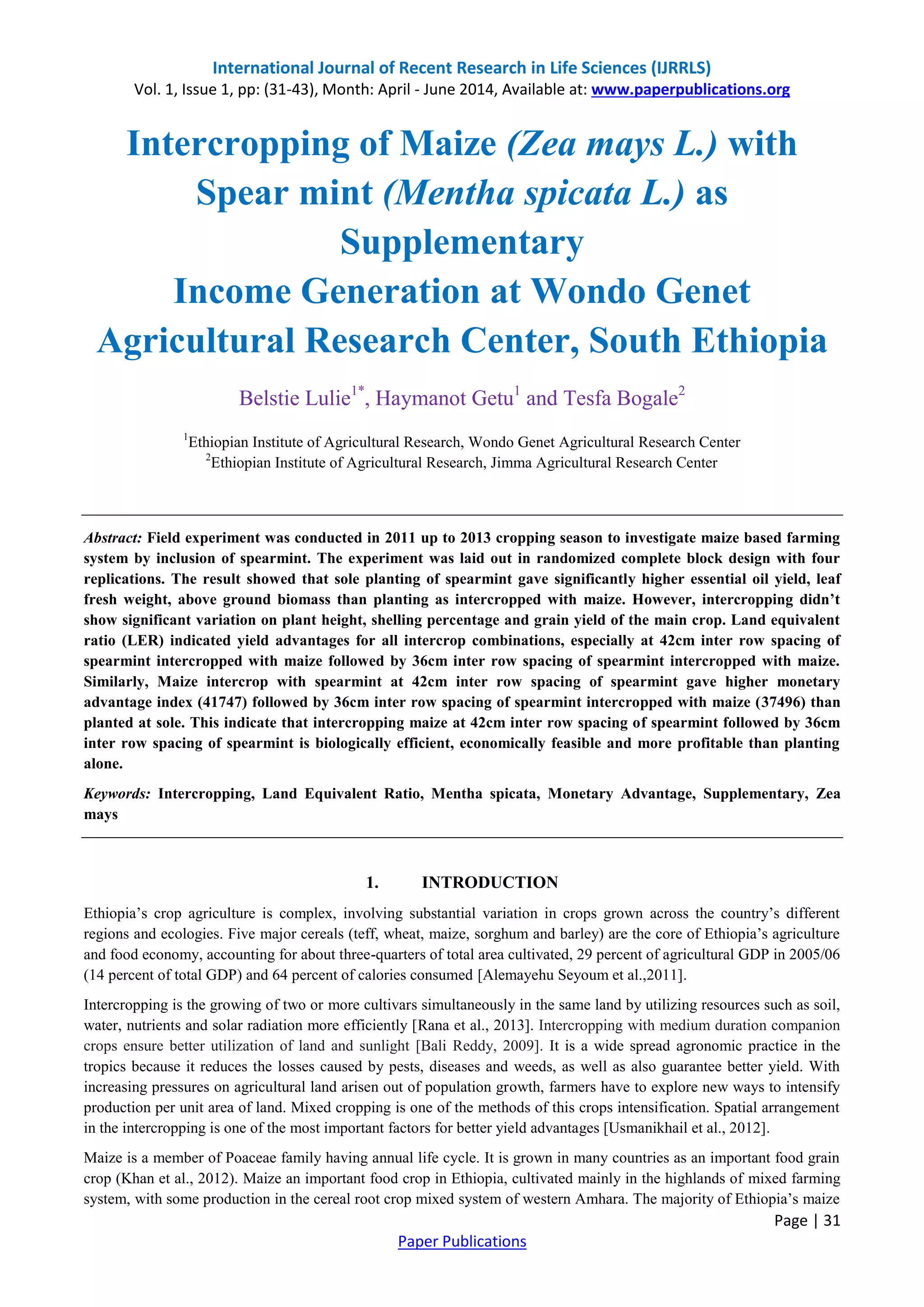 Intercropping of Maize(Zea mays L.) with Spear mint(Mentha spicata L ...