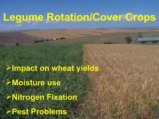 Legume Crops in Low Precipitation Areas of the Pacific Northwest | PPT