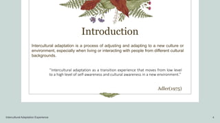 Intercultural Adaptation Experience.pptx