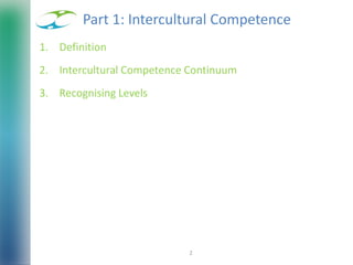 Intercultural Awareness - By Dr. Christine Mc Carthy | TEC Leadership ...