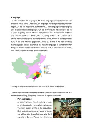 Intercultural communication report | PDF