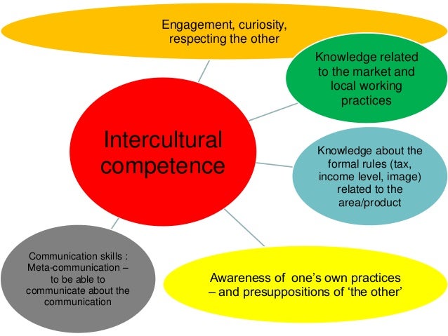 Intercultural competence and maturity model seminar 26 aug 2014
