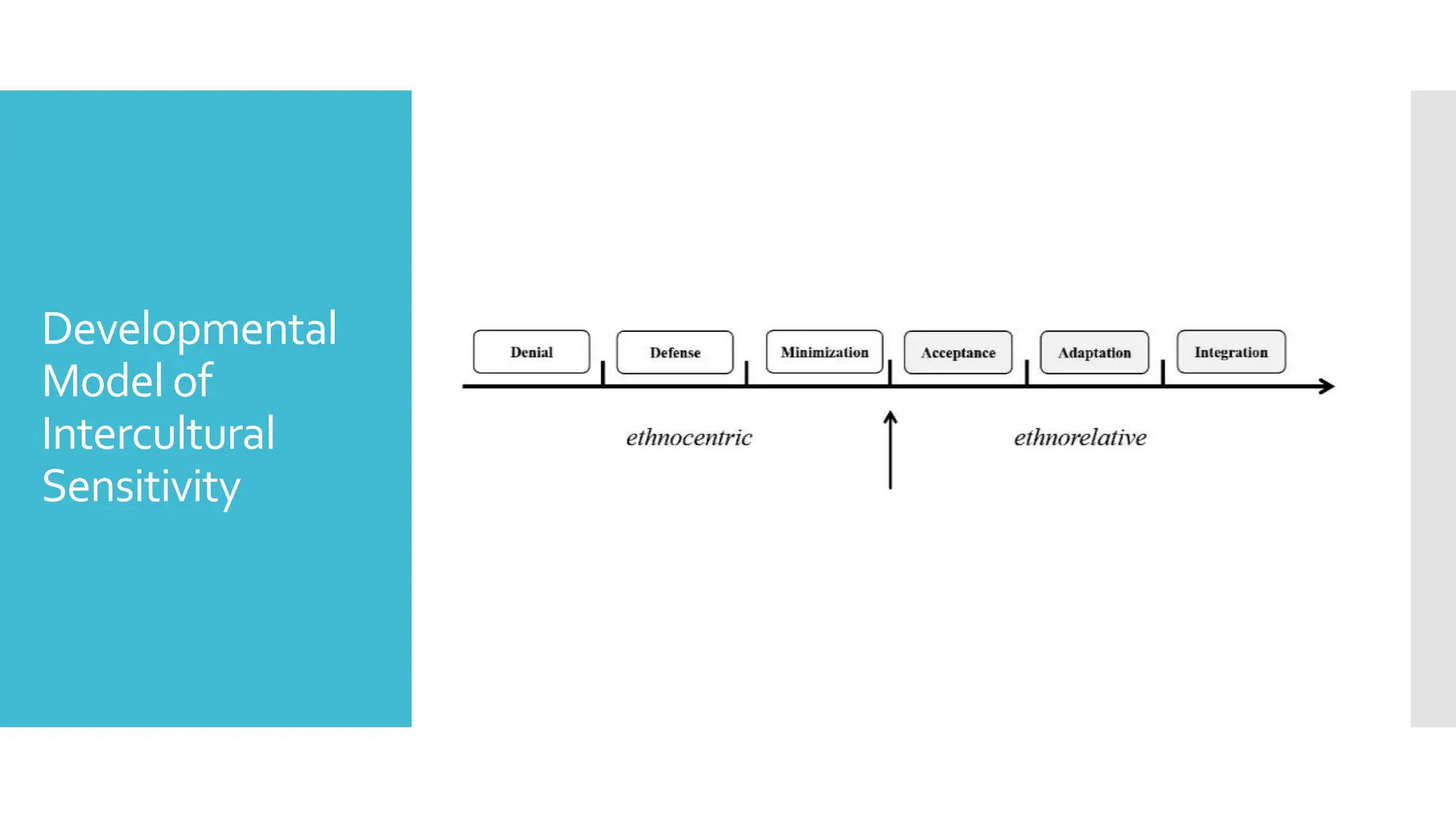 Intercultural Development Lesson PPT.pptx