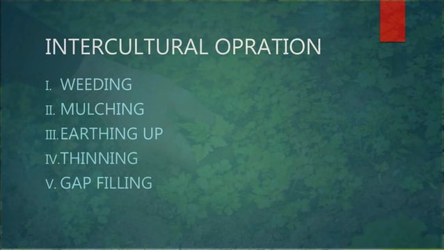 Intercultural practices ,Cultural practices in Agrecultural | PPTX