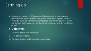 Intercultural practices ,Cultural practices in Agrecultural | PPTX