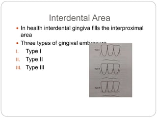 Interdental aids powerpoint presentation | PPTX