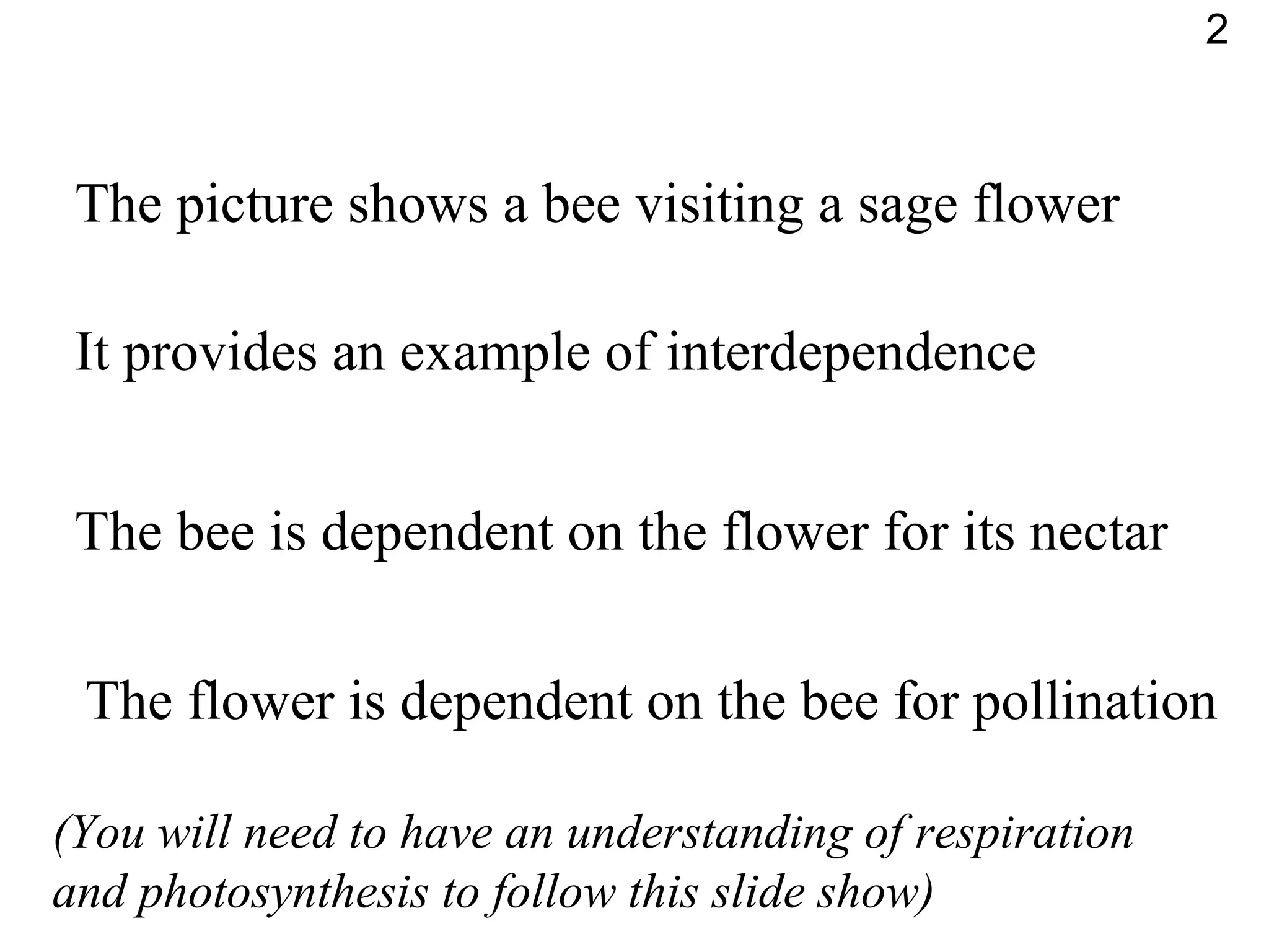 Biology Interdependence | PPT