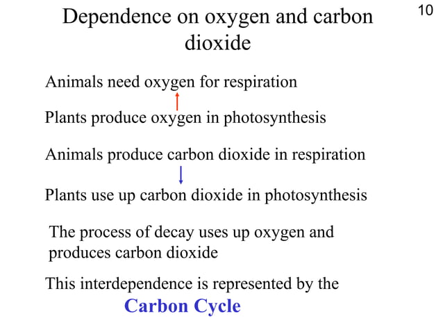 Biology Interdependence | PPT