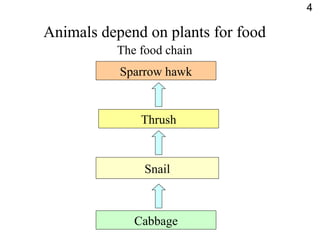 Biology Interdependence | PPT