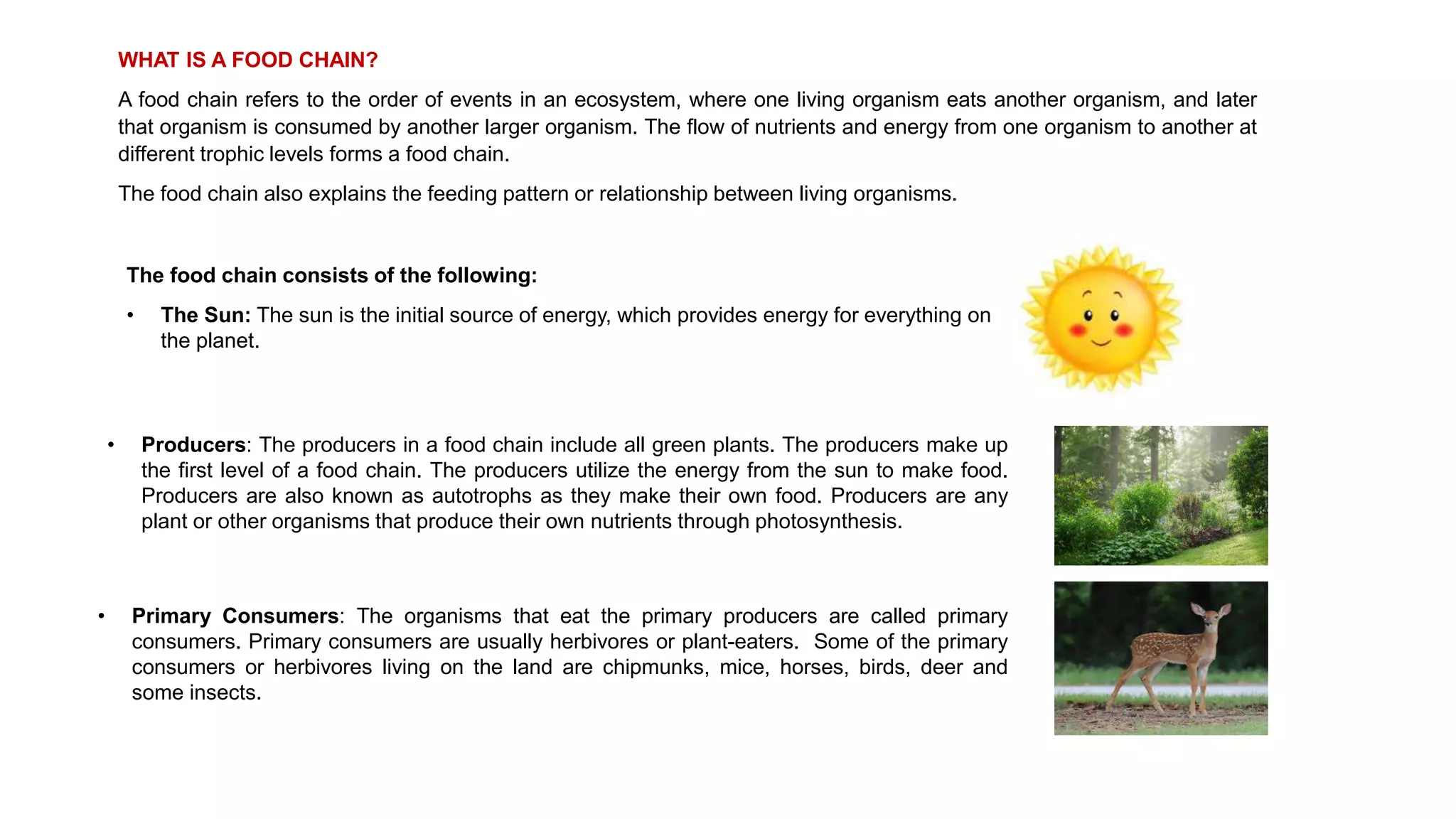 Interdependence in living beings.pptx