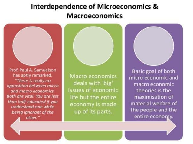 Interdependence of micro and macro economics | PPTX
