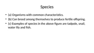 Interdependence_of_Organisms and control of ecosystem | PPTX