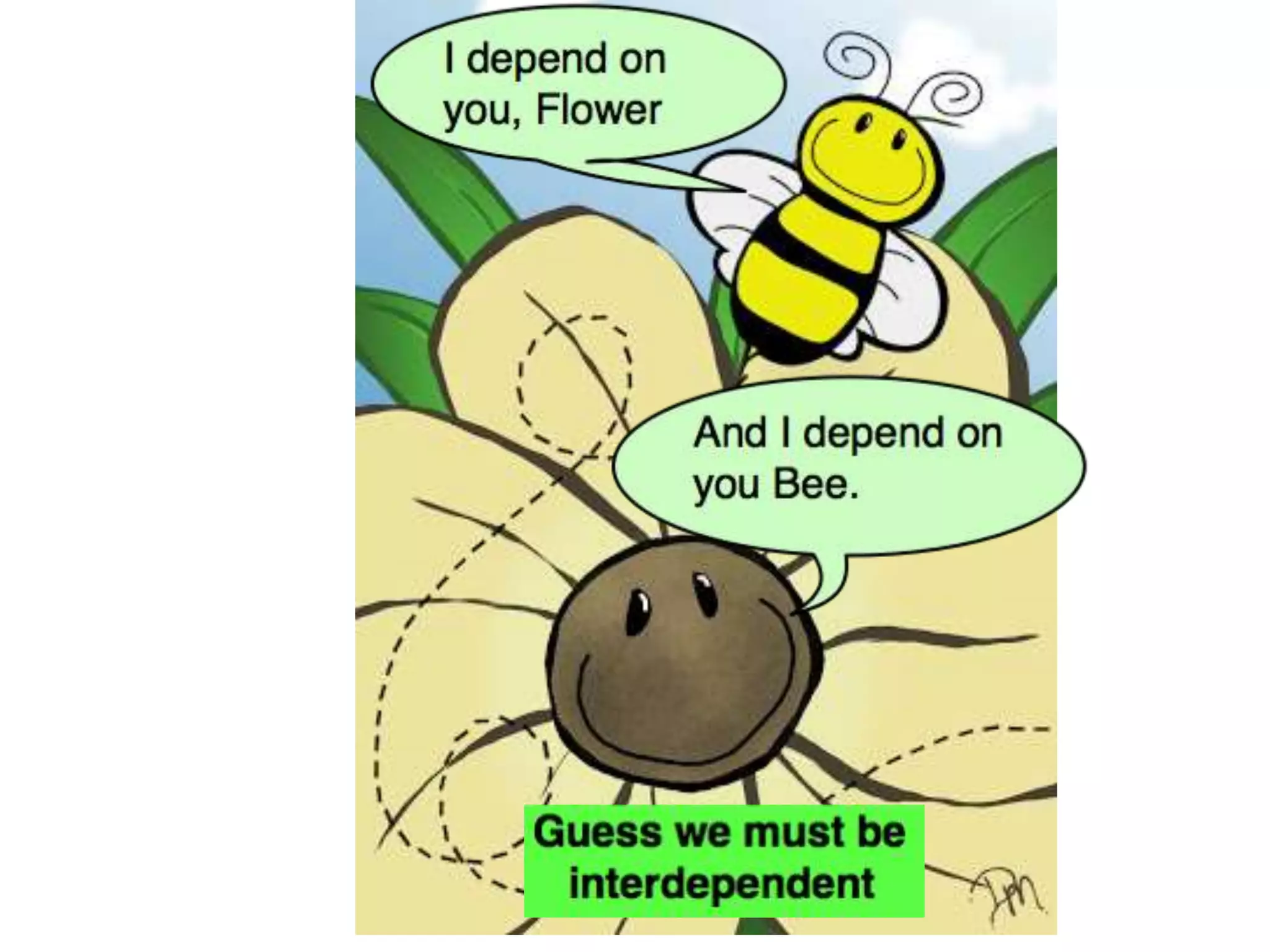 Plants and animals depend on each other. (teach 2nd/3rd grade) | PPTX