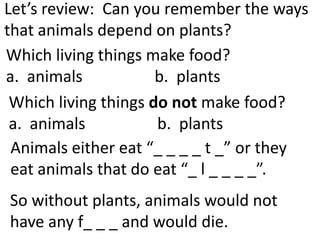 Plants and animals depend on each other. (teach 2nd/3rd grade) | PPTX