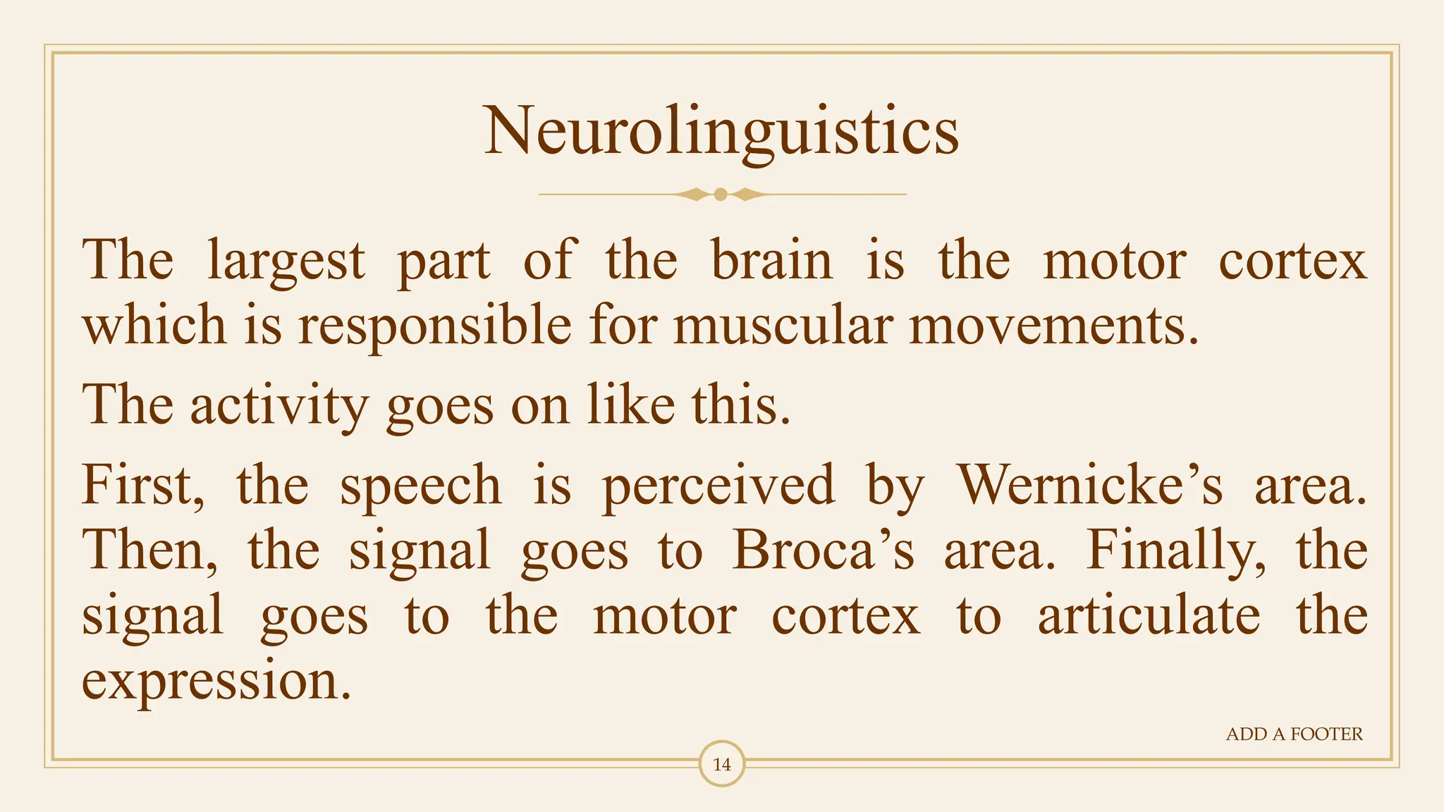 Interdisciplinary Fields.pptx