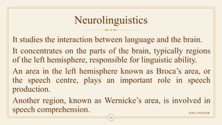 Interdisciplinary Fields.pptx