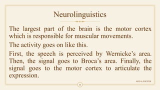 Interdisciplinary Fields.pptx