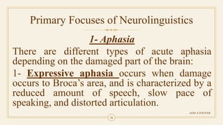 Interdisciplinary Fields.pptx