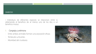 Interespecifica | PPTX