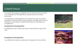 Interespecifica | PPTX