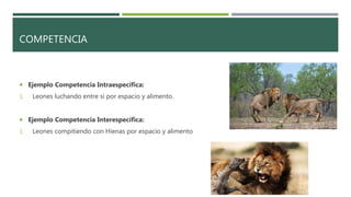 Interespecifica | PPTX