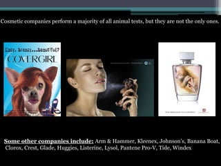 Stop Animal Testing | PPTX