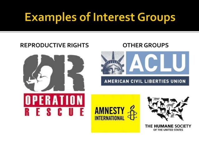 Interest Groups | PPT